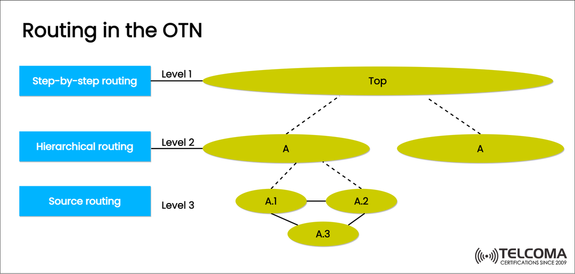 Routing in the OTN: Understanding Step-by-Step, Hierarchical, and ...