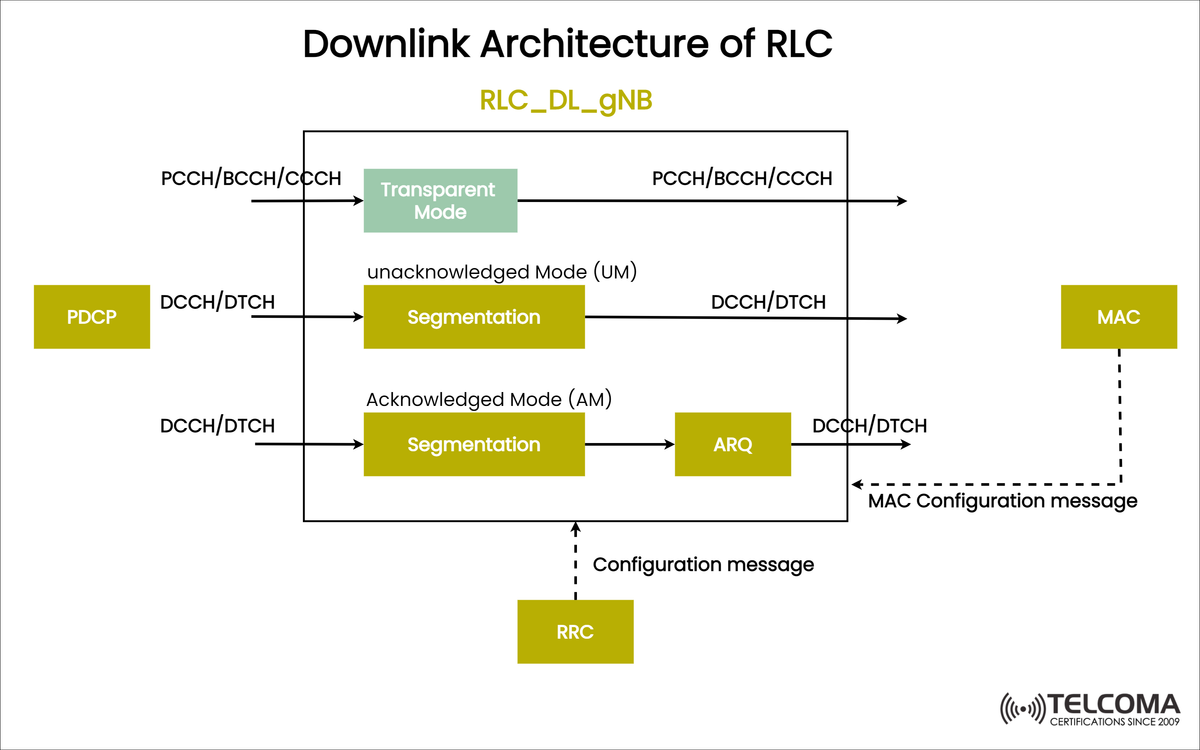 Downlink Architecture of RLC in 5G | Transparent Mode, UM, and AM Explained