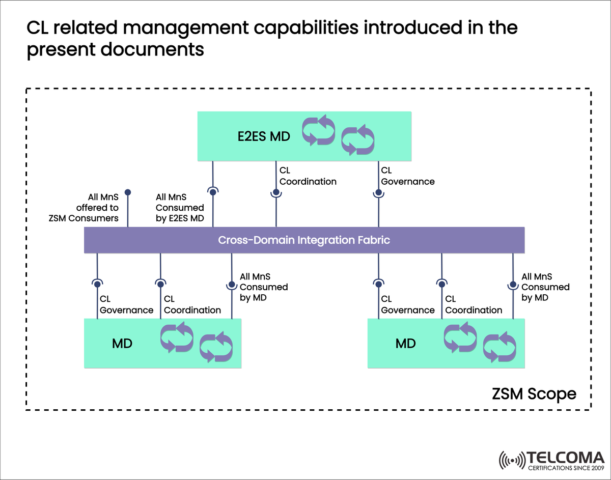 CL-Related Management Capabilities in ZSM: Governance, Coordination, and Cross-Domain Integration