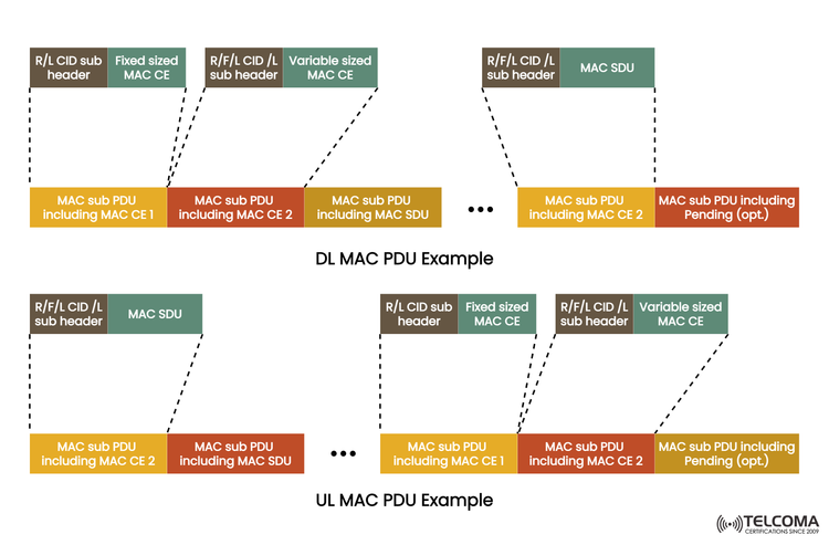 5G NR MAC PDU Structure Explained: Understanding DL and UL MAC PDU Examples